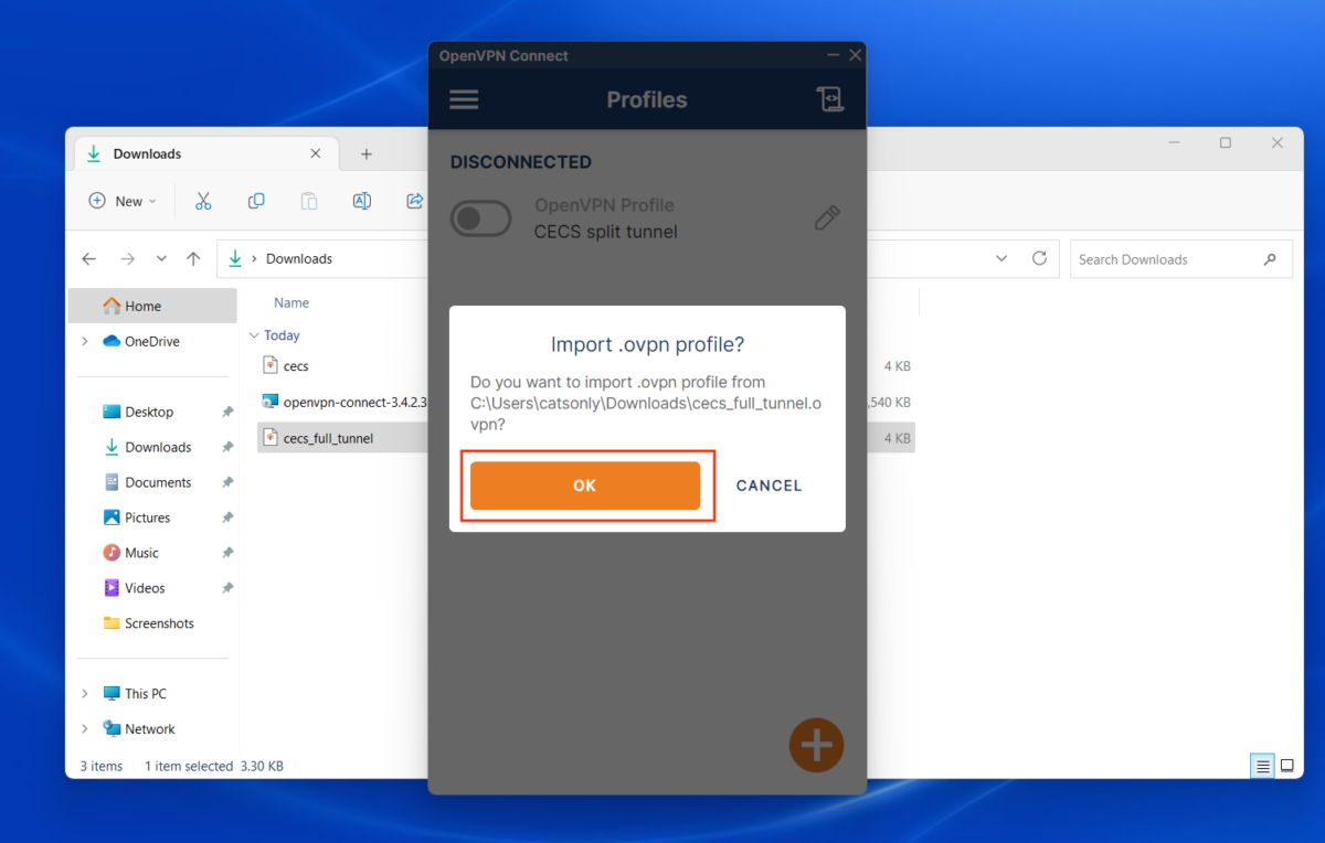 Using OpenVPN on Windows – Computer Action Team